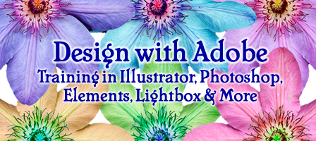 Adobe Design Classes: CS6, Photoshop, Illustrator,